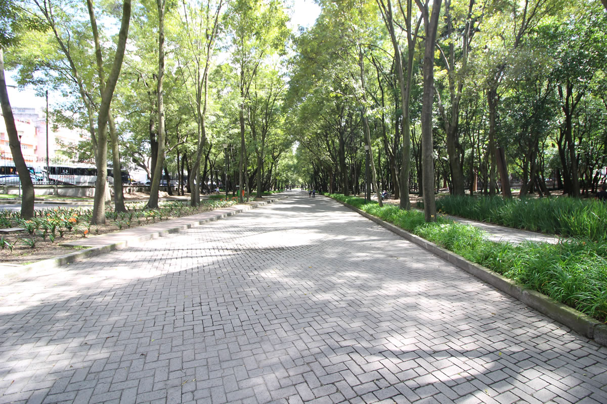 1ra Sección del Bosque de Chapultepec