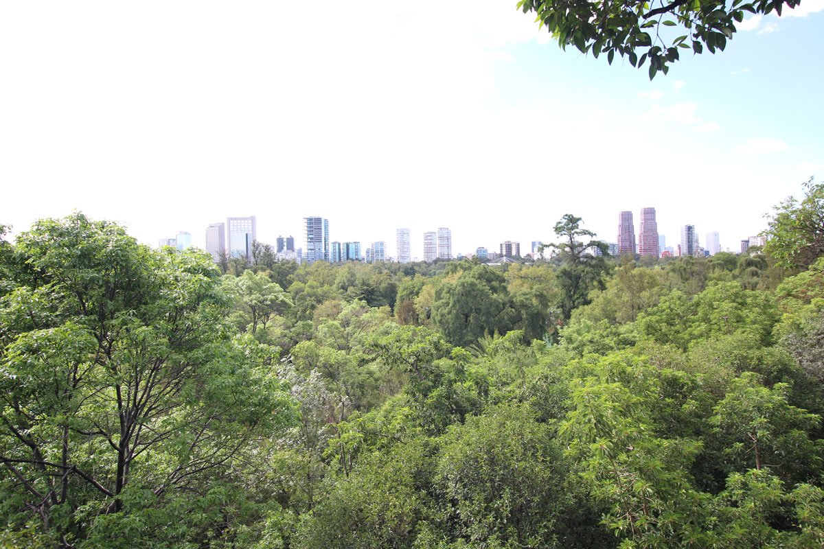 1ra Sección del Bosque de Chapultepec