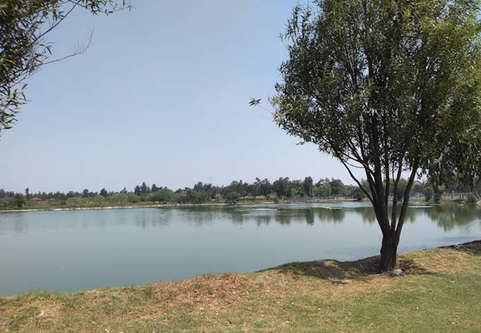 El Parque Ecológico Alameda | correr en Alameda Oriente